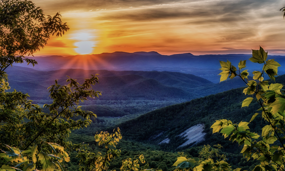 Long-Term Care Planning in Virginia: Costs, Cardinal Care & Your ...